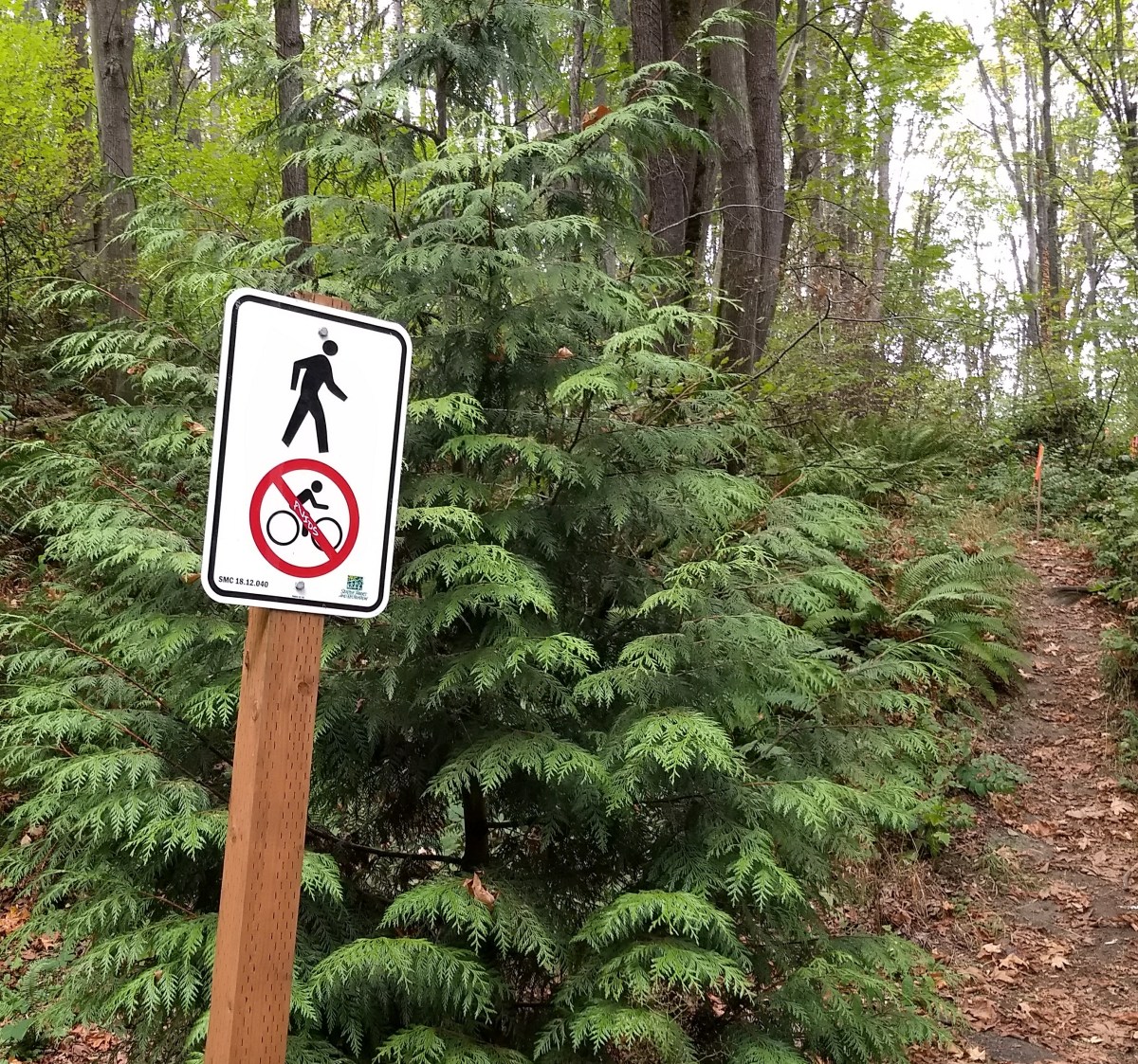 Park Natural Areas Must be Preserved! – Seattle Nature Alliance